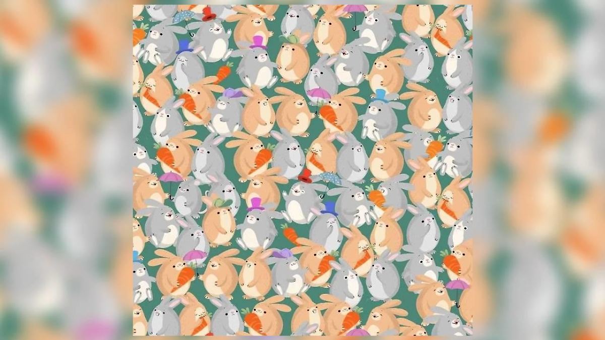 Suchbild: Mäuschen, mach mal Piep! Zwischen den Hasen sitzt eine Maus ...