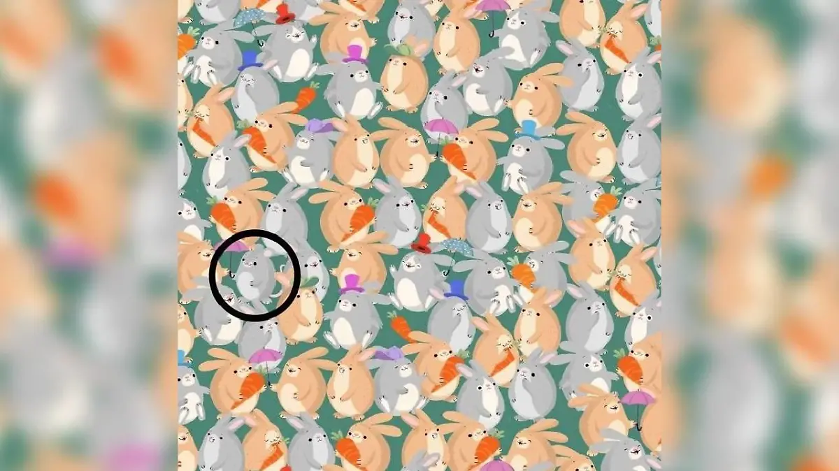 Suchbild: Mäuschen, mach mal Piep! Zwischen den Hasen sitzt eine Maus ...