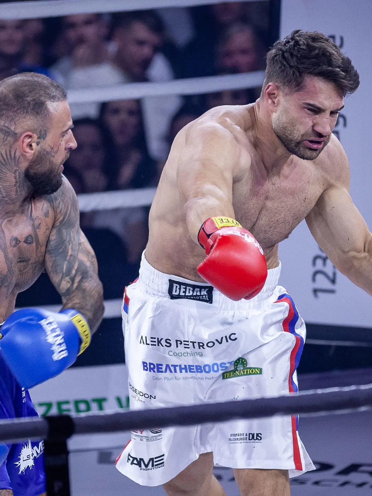 Aleksandar „Aleks“ Petrovic: Alle News & Infos