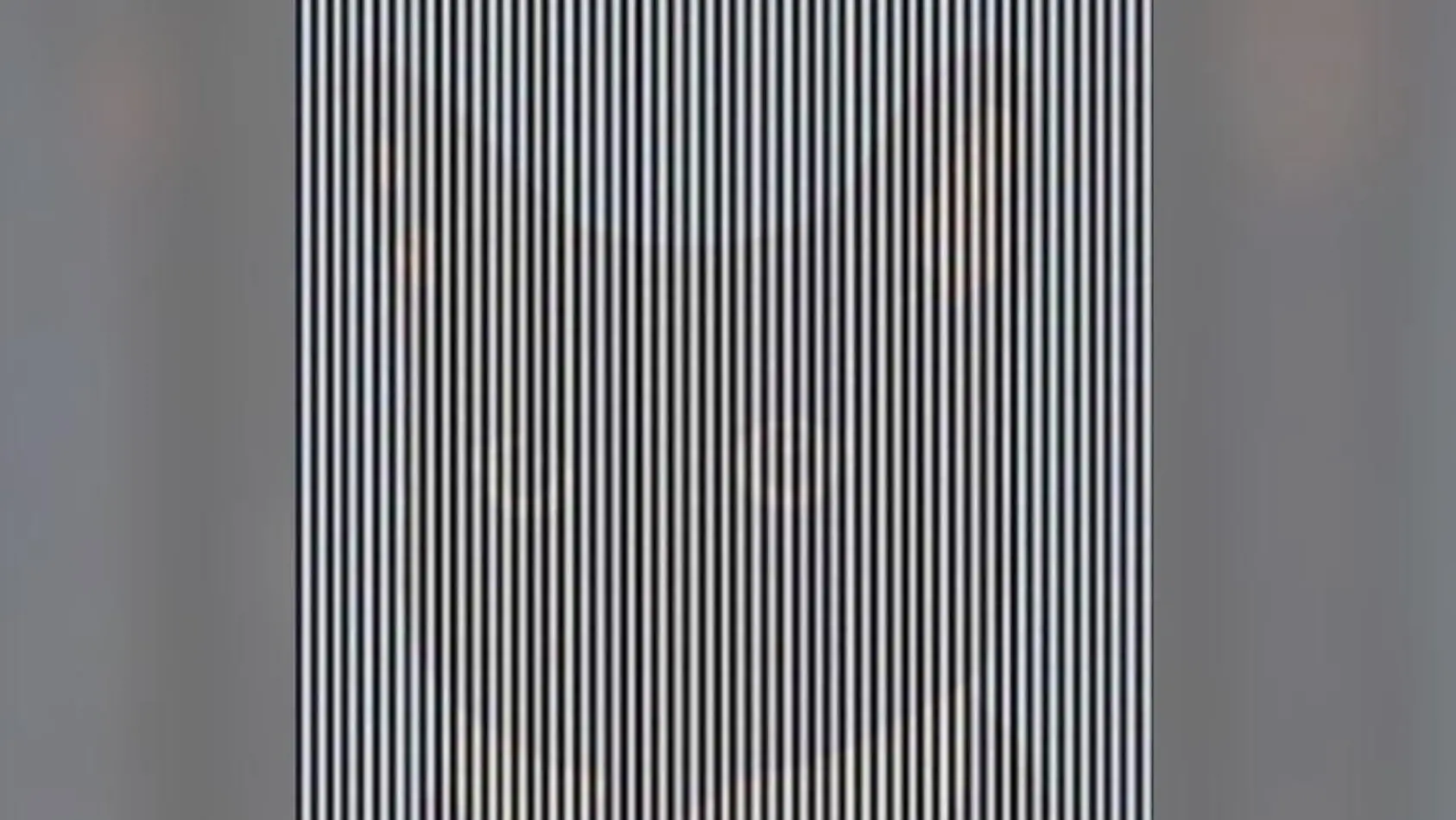 Optische Illusion: Welches Tier versteckt sich in diesem Suchbild?