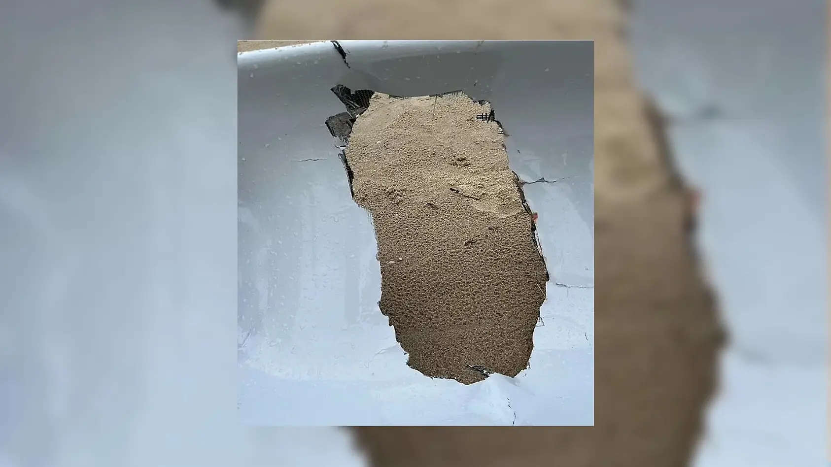 Weißer Hai reißt großes Loch in Brett: Surfer überlebt Attacke wie ...