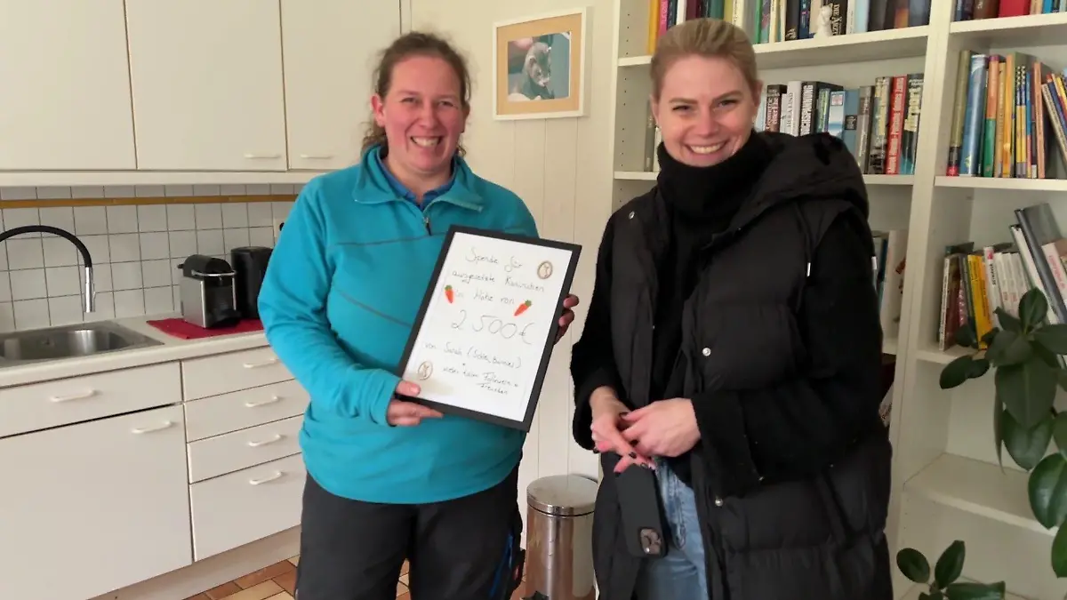 Schleswig (Schleswig-Holstein): 2.500 Euro für ausgesetzte Kaninchen ...