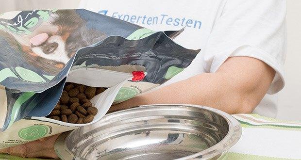 🥇 9 Modelle, 1 klarer Sieger: Hundetrockenfutter Test | rtl.de Vergleich