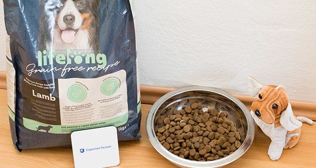 🥇 9 Modelle, 1 klarer Sieger: Hundetrockenfutter Test | rtl.de Vergleich