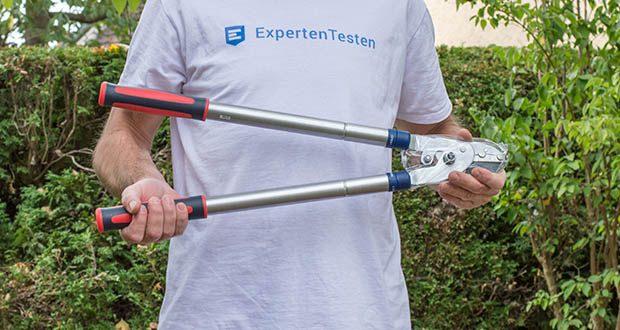 🥇 7 Modelle, 1 klarer Sieger: Astscheren Test | rtl.de Vergleich