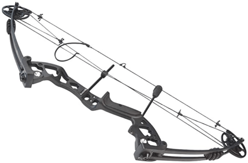 Die besten Compoundbögen im Test | rtl.de Vergleich