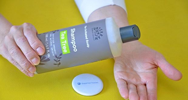 Die besten Shampoos im Test | rtl.de Vergleich