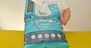 Der große Hundetrockenfutter Test: Finden Sie das beste Futter